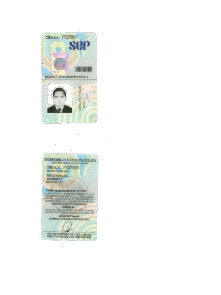 Cédula Profesional Jesus Manuel BR | PDF