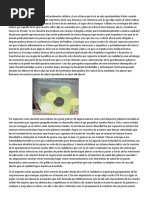 Espa 29 Escala de Estilos de Socializacion Parental en La Adolescencia ...