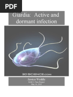Using SNAP Test Kits: Blood/serum/plasma Sample Test Procedure | PDF ...