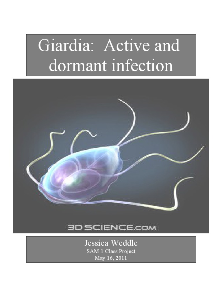 Giardia: Active and Dormant Infection: Jessica Weddle | PDF | Infection ...