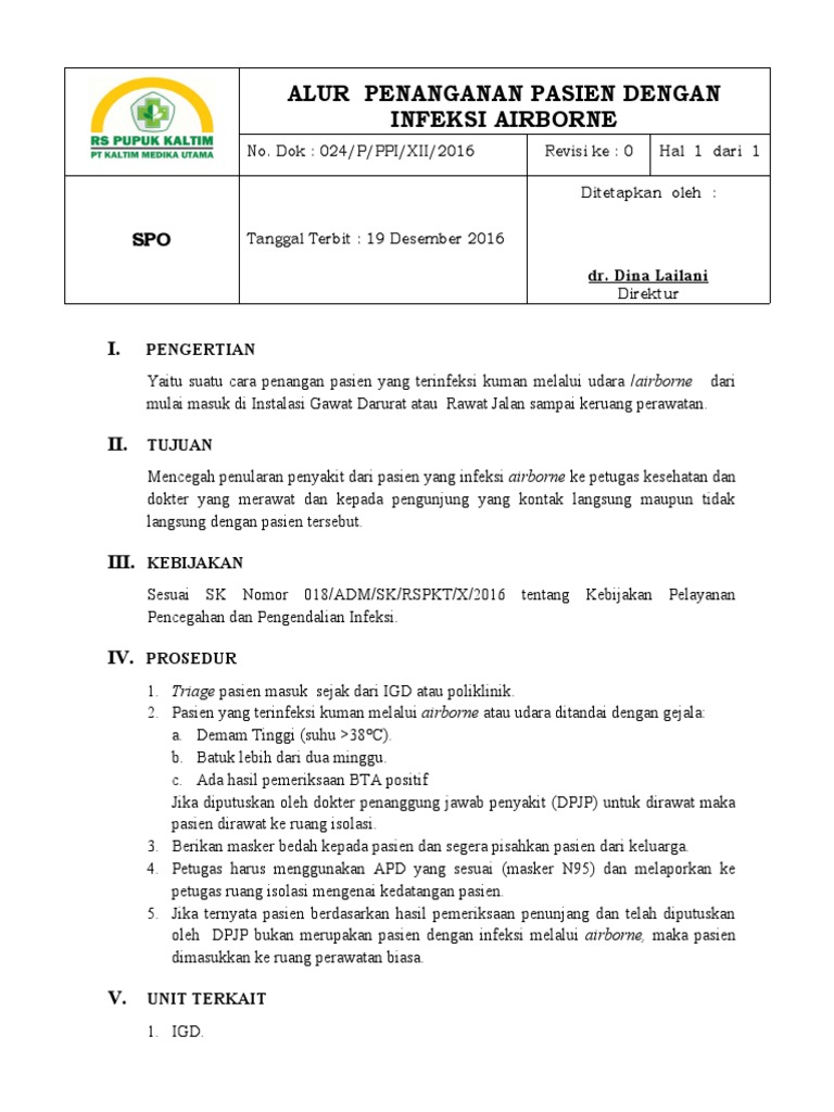 SPO PPI 24 (Alur Penanganan Pasien Infeksi Airborne | PDF