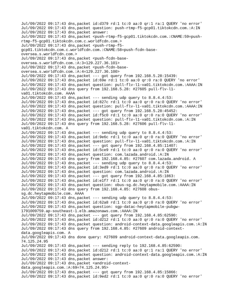 Log 1 | PDF | Domain Name System | Wide Area Network