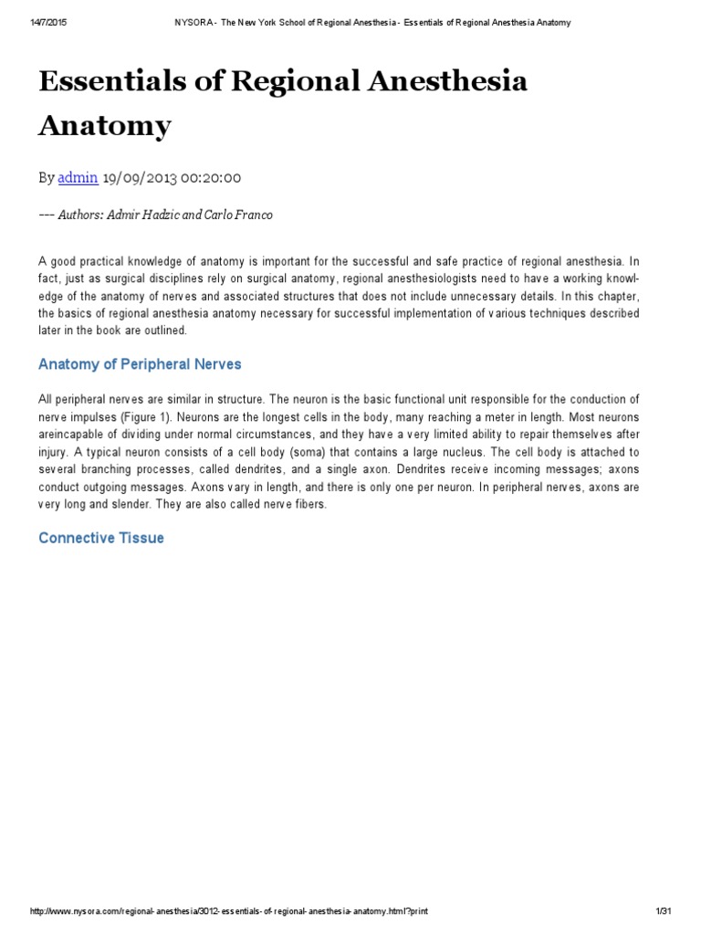 Essentials of Regional Anesthesia Anatomy NYSORA - The New York School ...