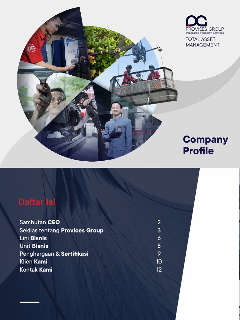 Company Profile - Provices Group | PDF