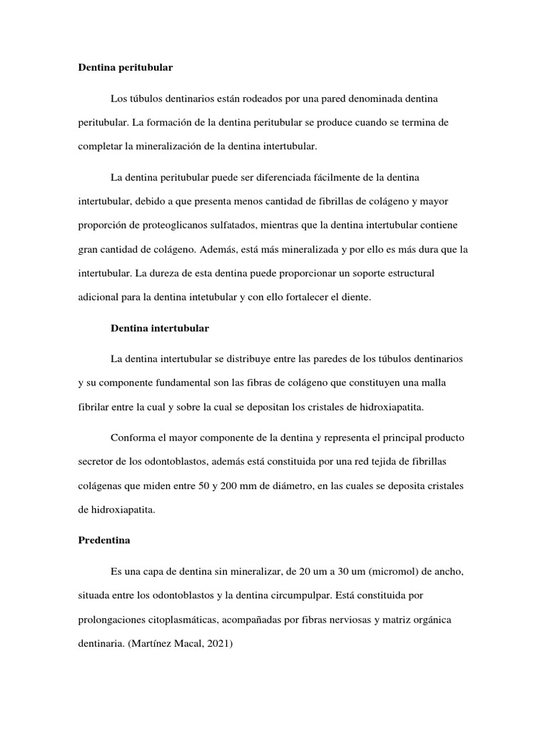 Dentina Peritubular | PDF