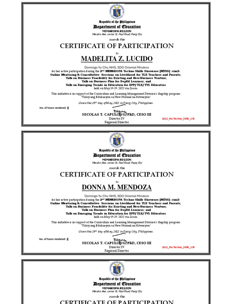 Certificate of Participation: MTSS 2022 | PDF | Philippines | Government