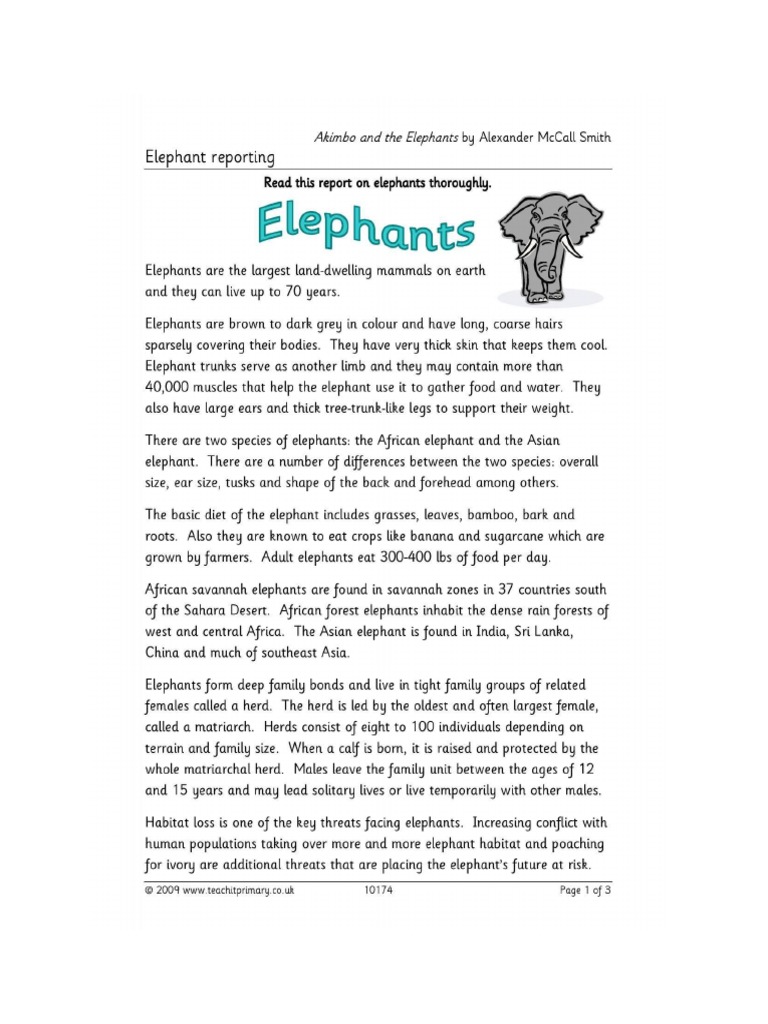 All About Elephants | PDF