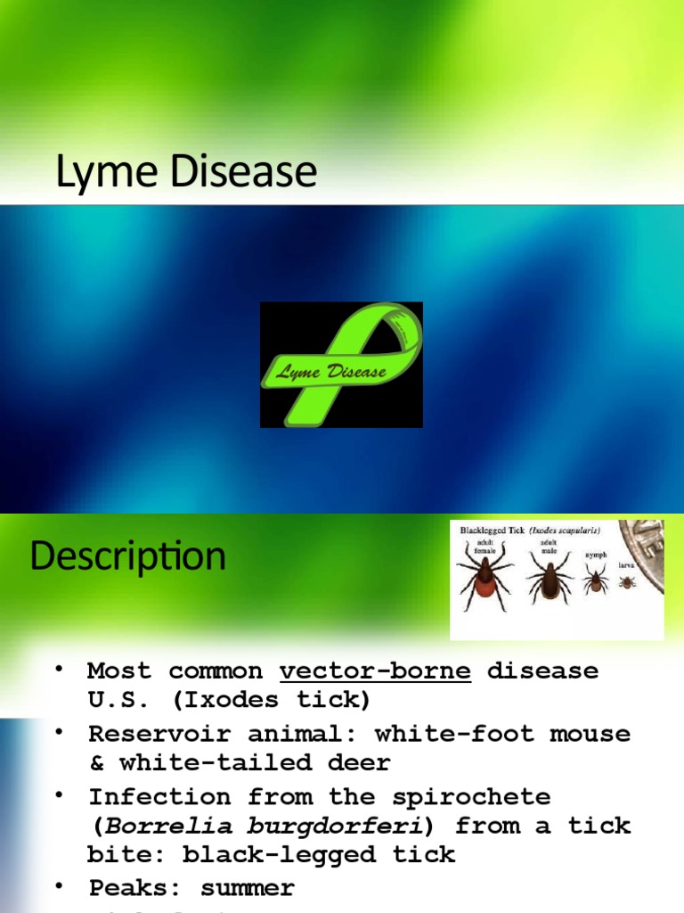Lyme DisorderLL | PDF | Lyme Disease | Epidemiology