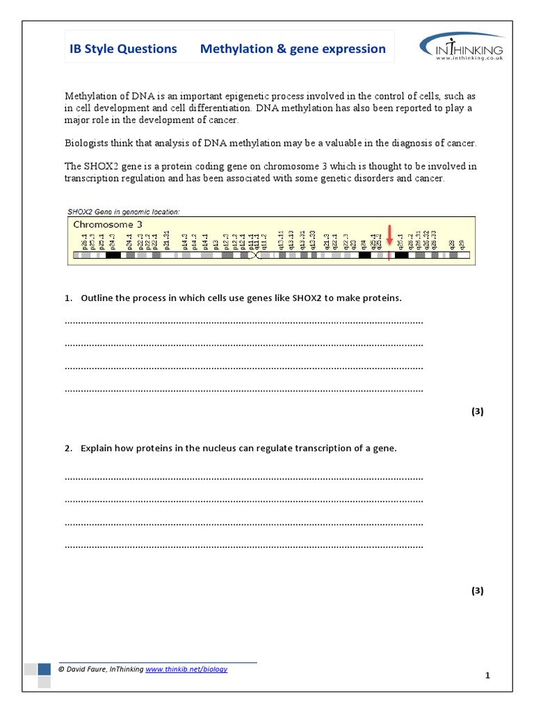 Ib Style Questions Methylation & Gene Expression: © David Faure ...