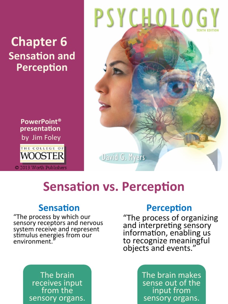 Sensation and Perception: Powerpoint® Presentation | PDF | Perception ...