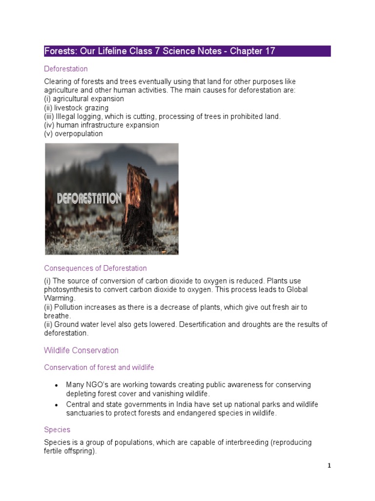 Forests: Our Lifeline Class 7 Science Notes - Chapter 17: Deforestation ...