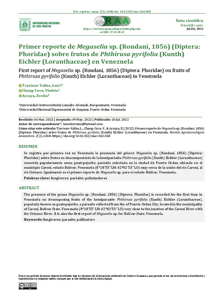 Primer Reporte de Megaselia Sp. (Rondani, 1856) (Diptera Phoridae ...