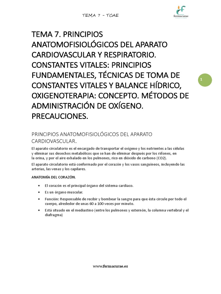 Tema 7 Cardiovascular 2 | PDF | Pulmón | Sistema circulatorio