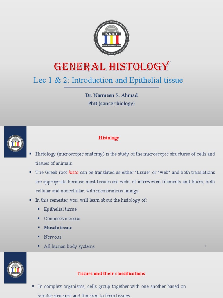 Histology Lec 1 & 2 | PDF | Epithelium | Tissue (Biology)