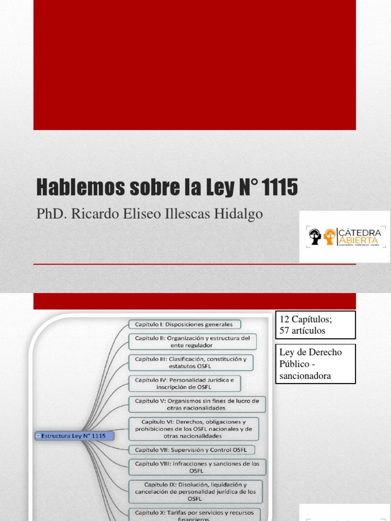 Estructura Ley #1115 | PDF | Fundación (sin fines de lucro) | Sociedad de responsabilidad limitada