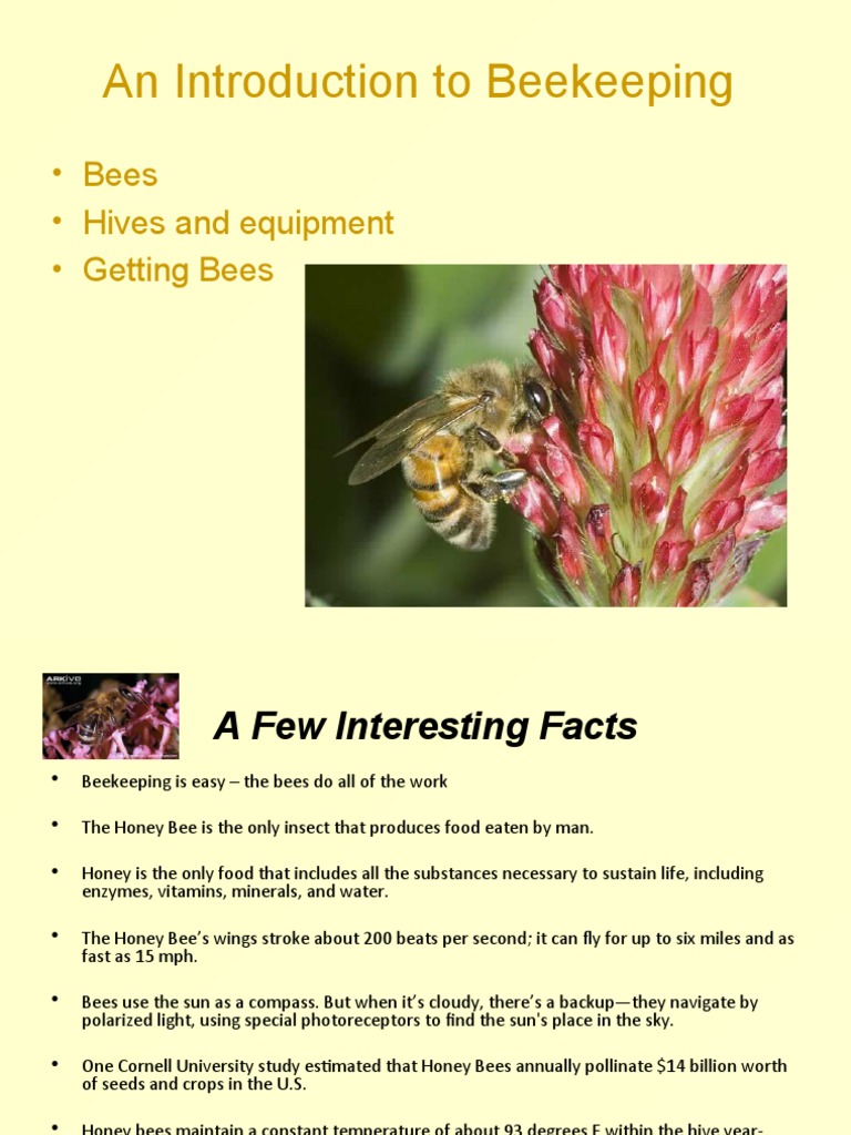 An Introduction To Beekeeping: - Bees - Hives and Equipment - Getting ...