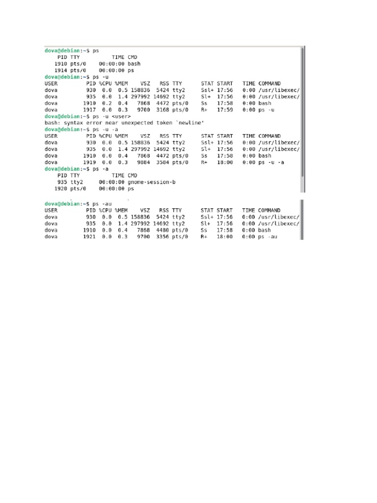 Modul 6 | PDF