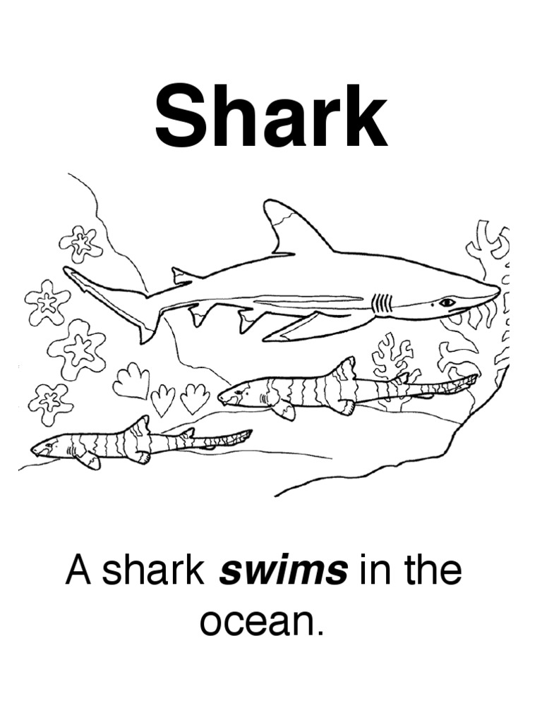 Ocean Animal Action Cards | PDF