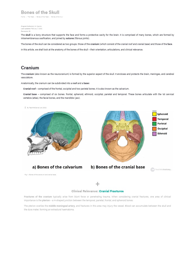 Bones of The Skull - Structure - Fractures - TeachMeAnatomy | PDF | Skull | Human Nose