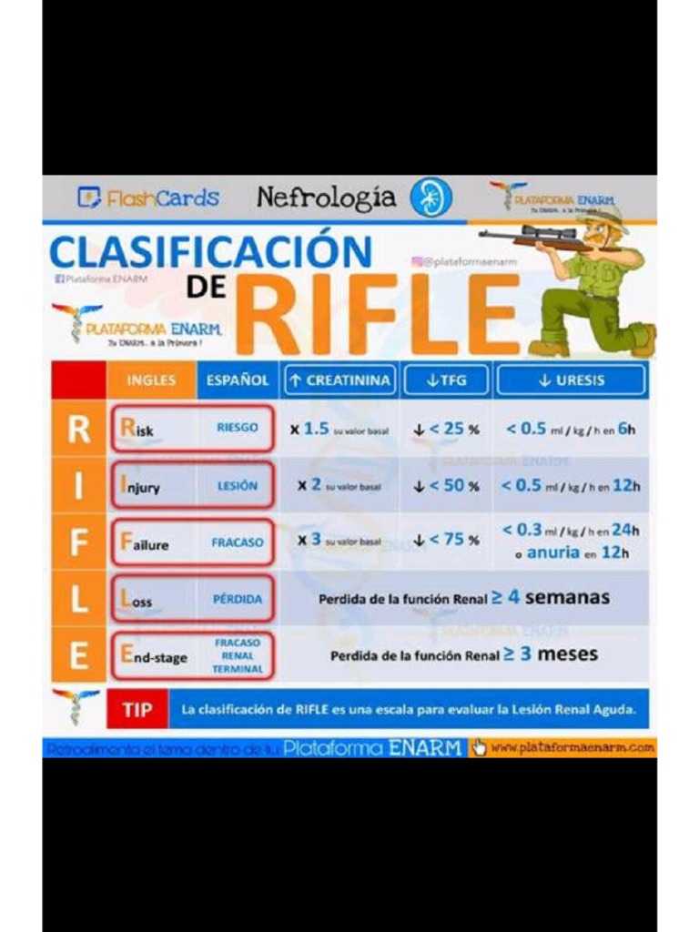 escala de rifle | PDF