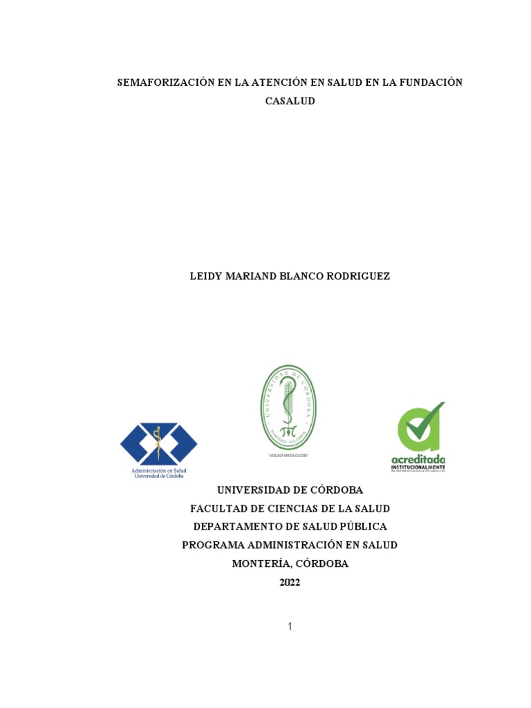 Informe lEIDY 1114 | PDF | Microsoft Excel | Bases de datos