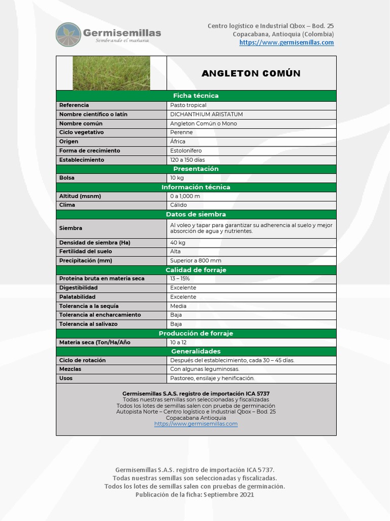 Ficha Tecnica Angleton Comun | PDF | Pasto | Horticultura