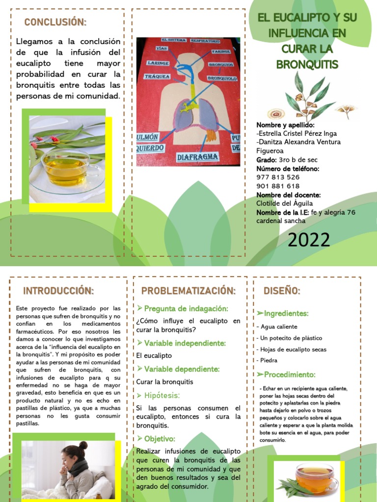 Triptico de El Eucalipto | PDF