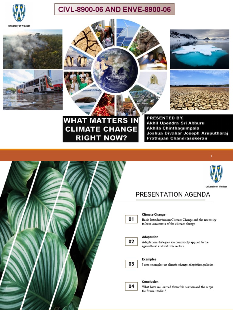 Group Presentation - Climate Change Adaptation | PDF | Climate Change ...