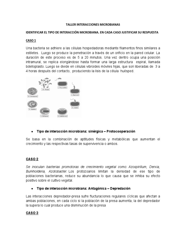 Interacciones Microbianas | PDF | Las bacterias | Simbiosis