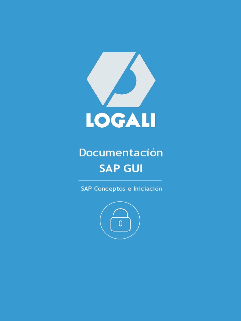 Guía de Instalación y Uso de SAP GUI | PDF | Java (lenguaje de ...