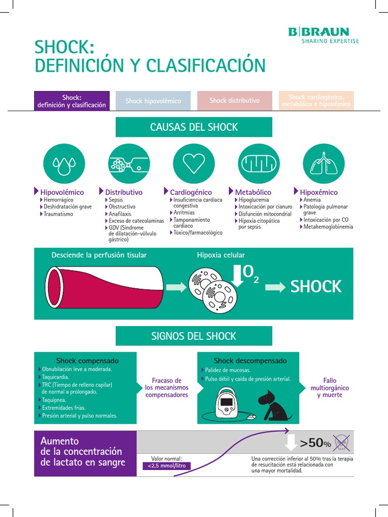 MVET0432UCI Infografía Shock | PDF | Enfermedades y trastornos humanos ...