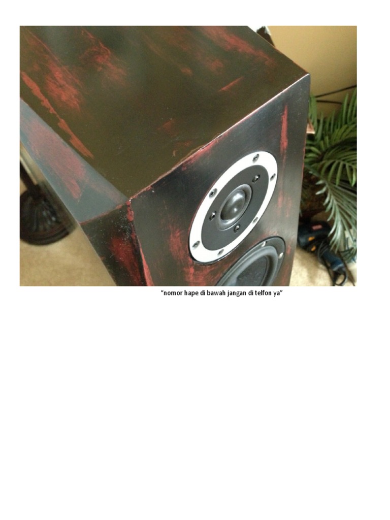 Panduan Pengukuran TSP Driver Audio | PDF | Griya & Taman