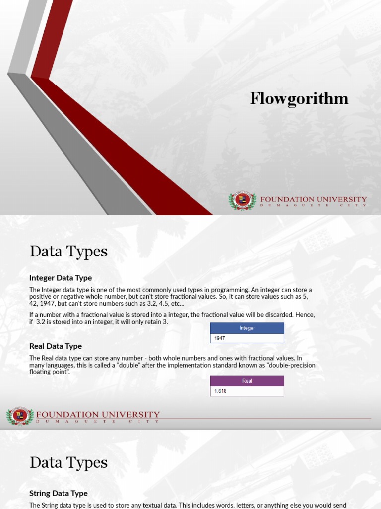 Flowgorithm | PDF | Data Type | Boolean Data Type Flowgorithm | PDF | Data Type | Boolean Data Type