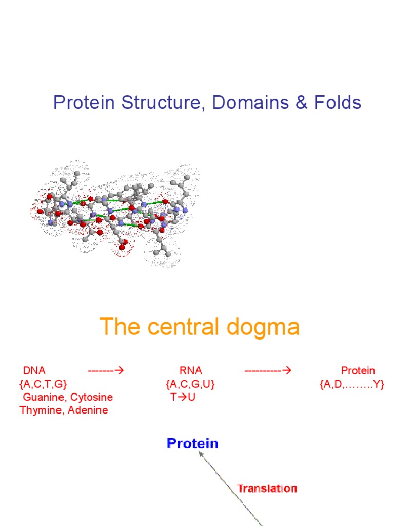 Protein Structure and Folding Overview | PDF | Protein Folding ...