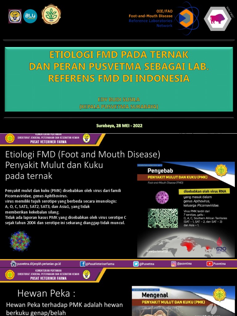 Informasi PMK dan Layanan Pusvetma | PDF