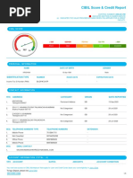 Credit Report | PDF | Credit History | Credit