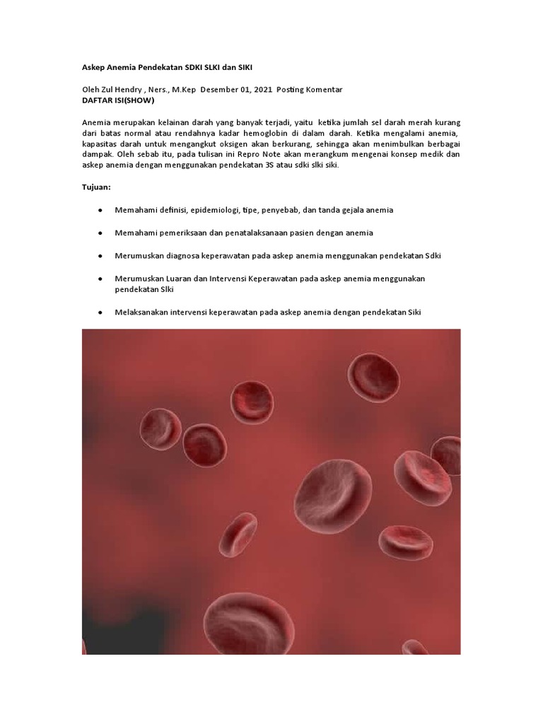 Askep Anemia: Pendekatan SDKI SLKI SIKI | PDF