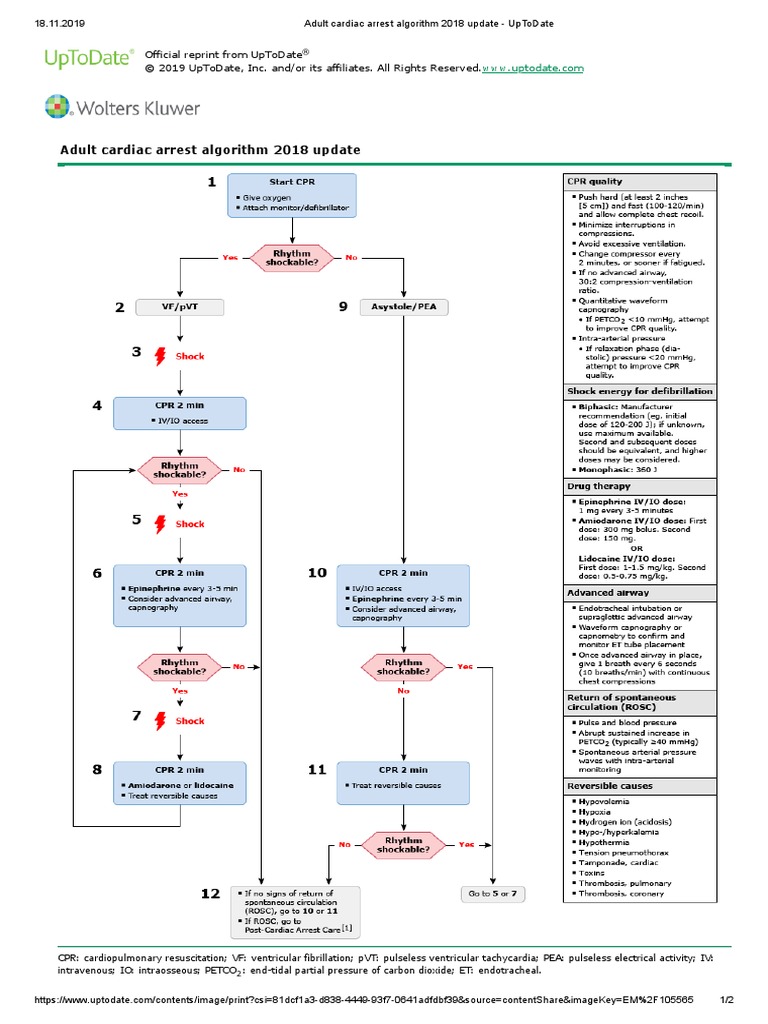 Adult Cardiac Arrest Algorithm | PDF