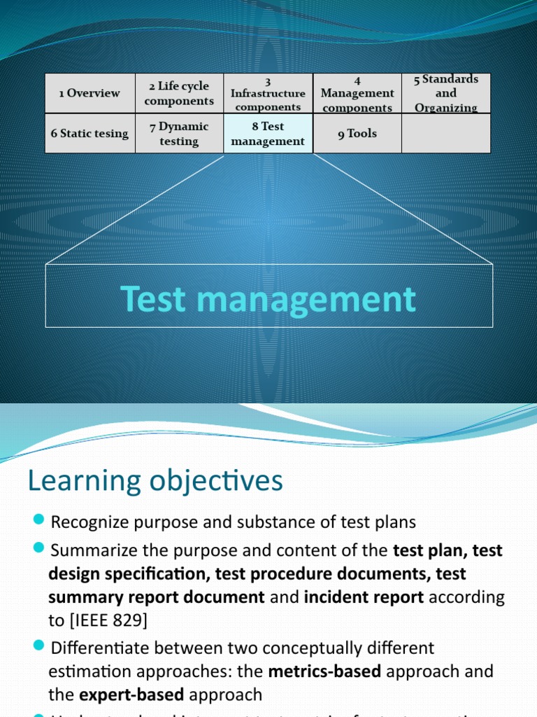 Effective Software Test Management | PDF | Software Testing | Risk