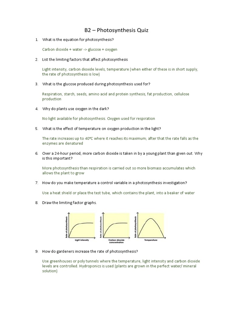 Photosynthesis Quiz: Key Concepts Explained | PDF | Science ...