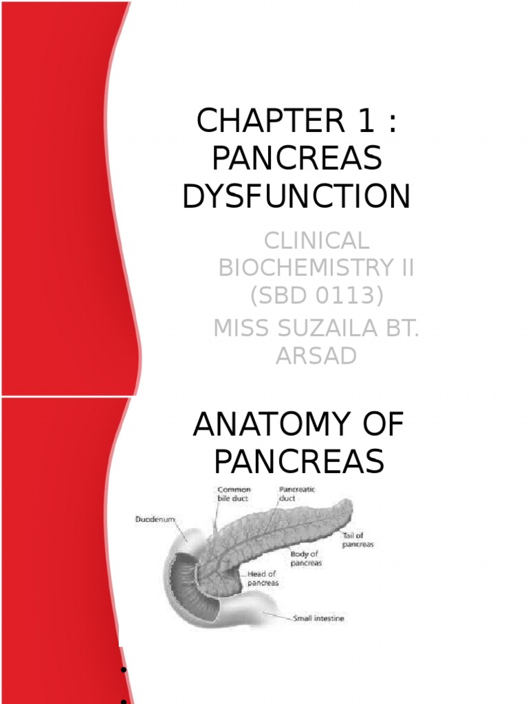 Pancreas Dysfunction: Clinical Biochemistry Ii (SBD 0113) Miss Suzaila ...