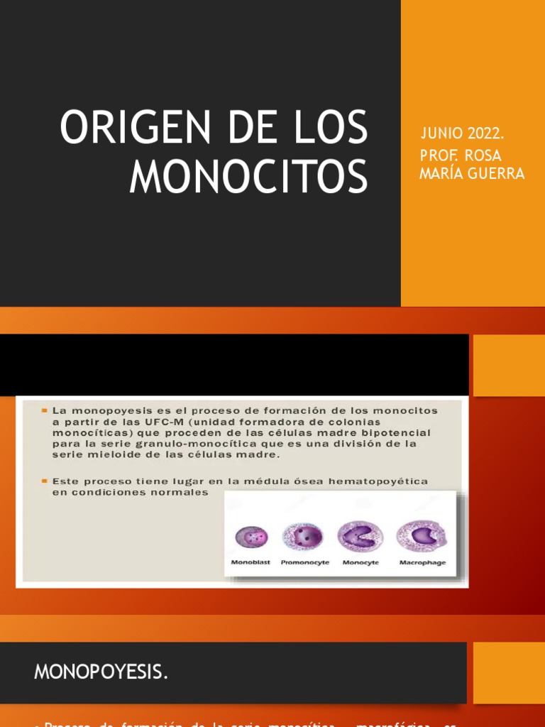 Origen y funciones de monocitos y macrófagos | PDF | Leucocito | Linfocitos