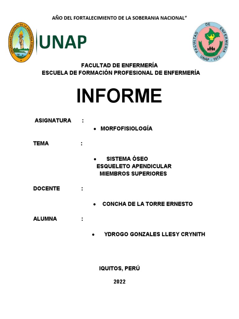Informe Del Esqueleto Apendicular Miembros Superiores | PDF | Esqueleto ...