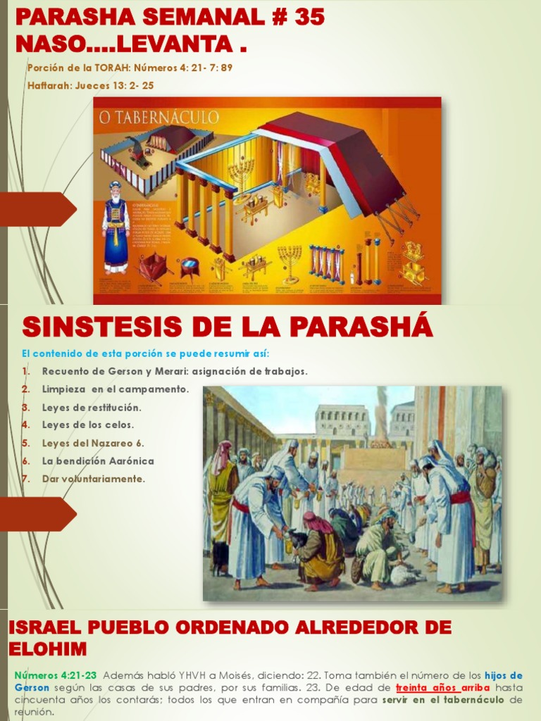 Parashá 35 | PDF | Libro de números | Tetragrammaton