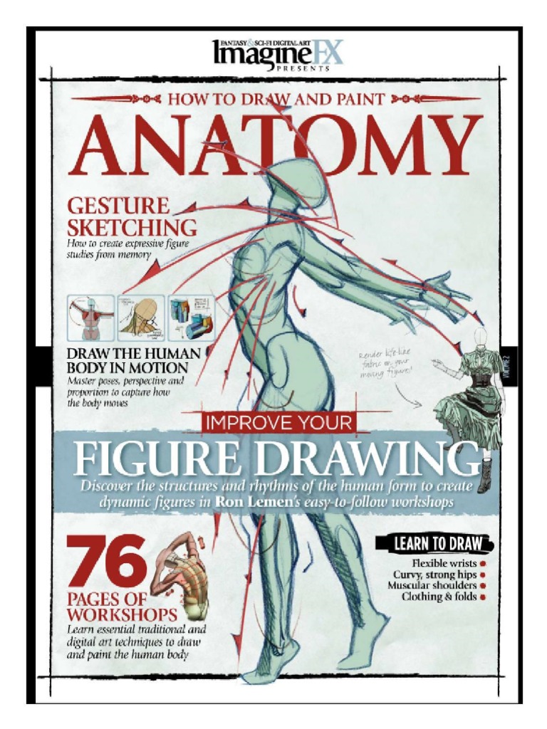 Anatomy | PDF