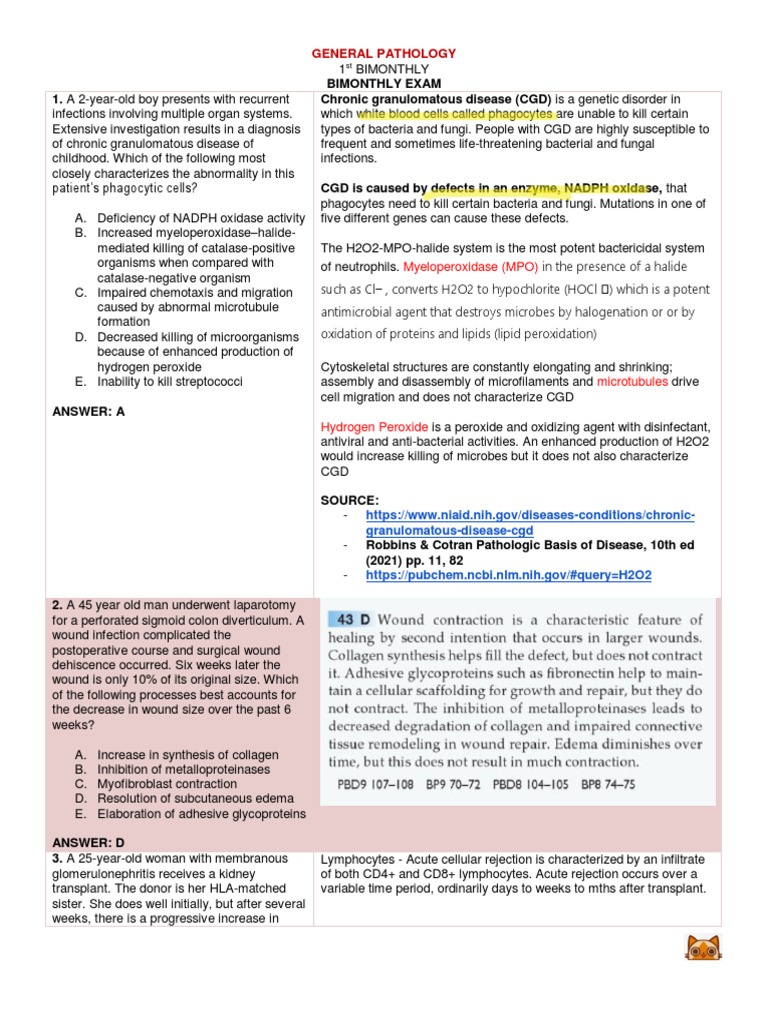 Pathology Exam Insights and Cases | PDF | Thrombosis | Immune System