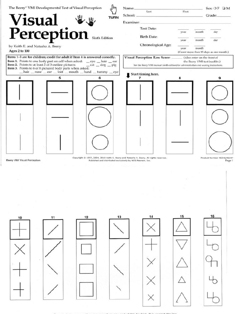 Visual Perception | PDF