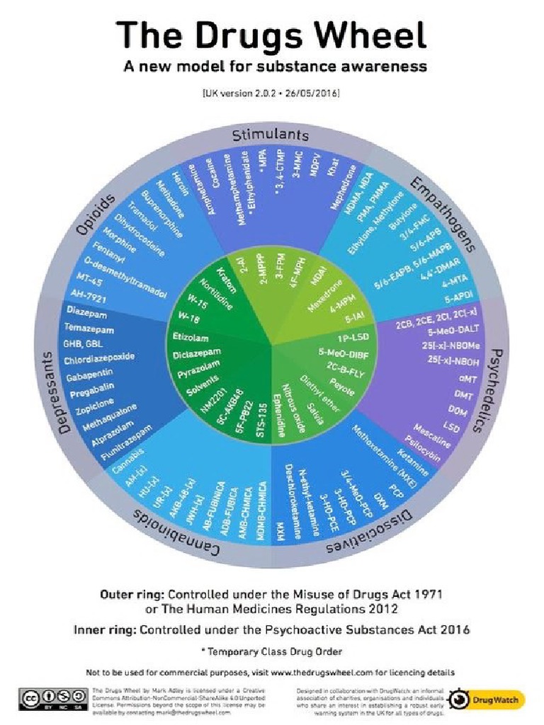 Drugs Wheel | PDF