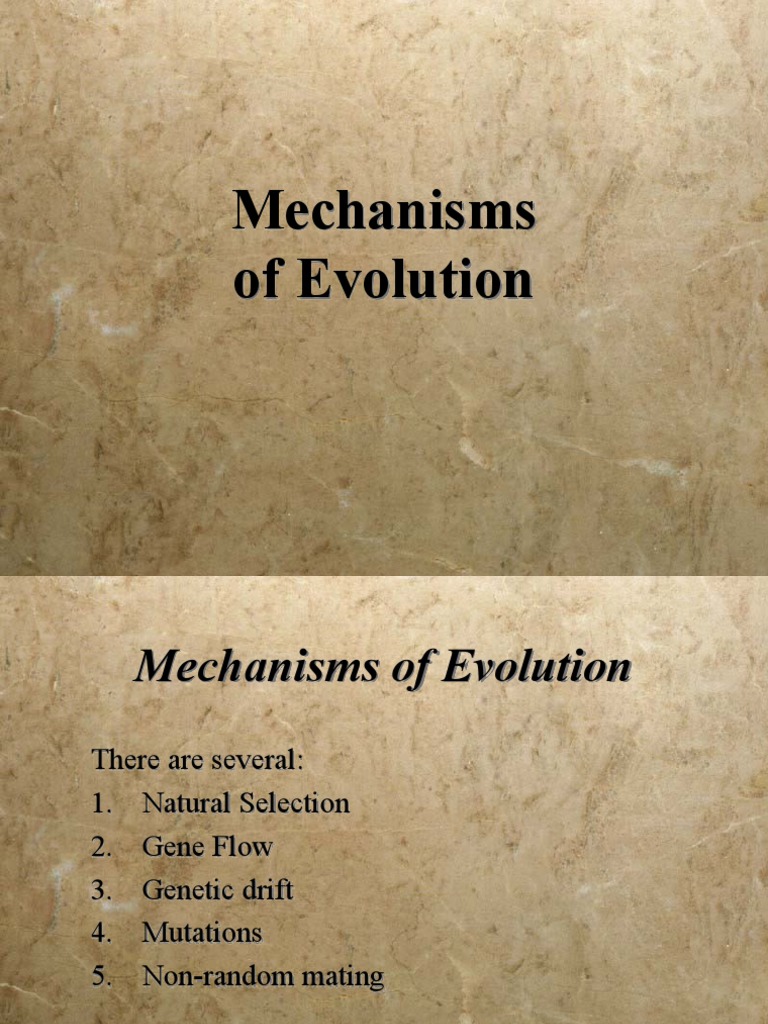 Key Mechanisms of Evolution Explained | PDF | Genetic Diversity ...