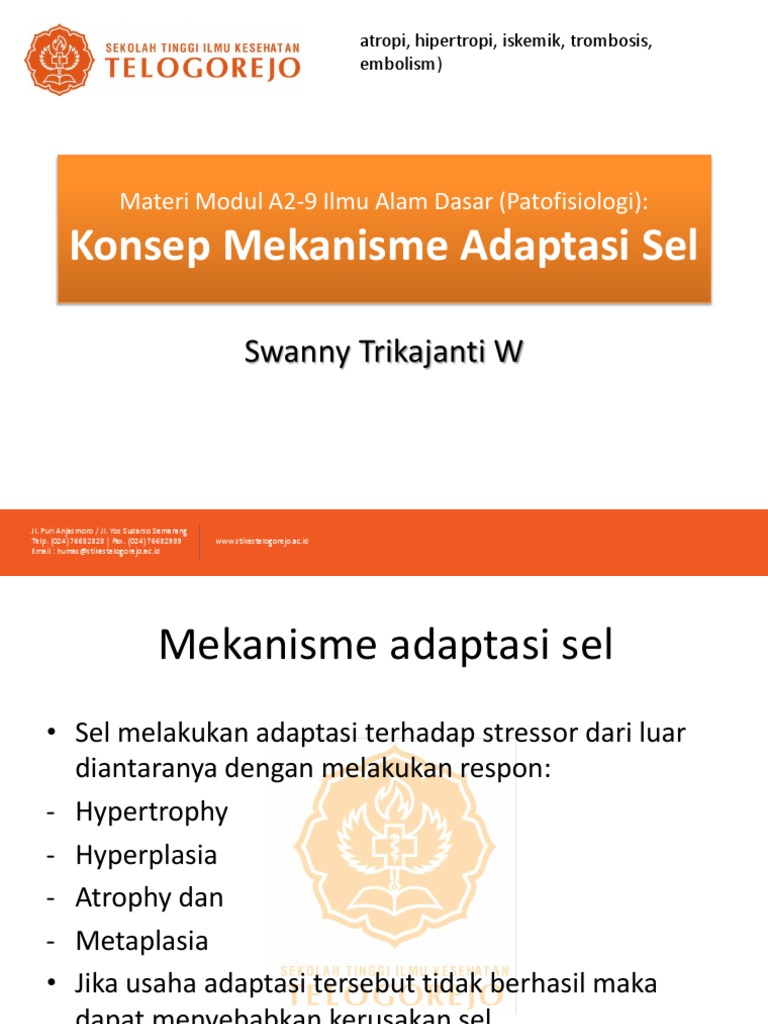 Konsep Mekanisme Adaptasi Sel | PDF | Sains & Matematika